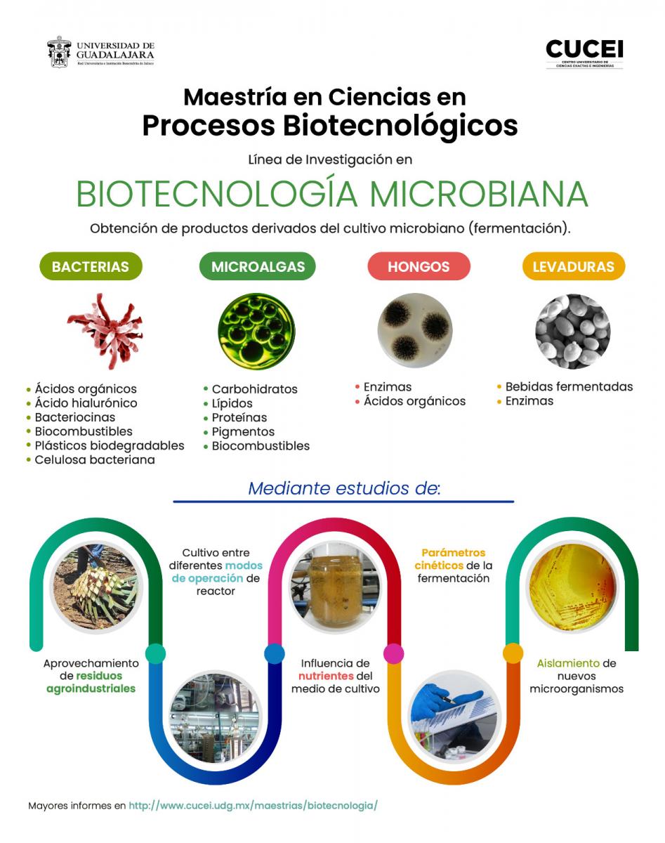 Biotecnología Microbiana | Maestría en Ciencias en Procesos Biotecnológicos